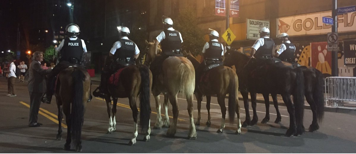 What You Need to Know about Mounted Police - LubriSynHA