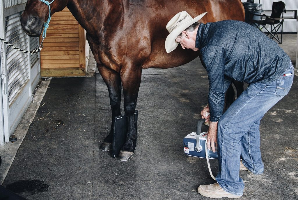 Horse Thermometer The Top 10 Items You Need In Your Barn First Aid Kit ...